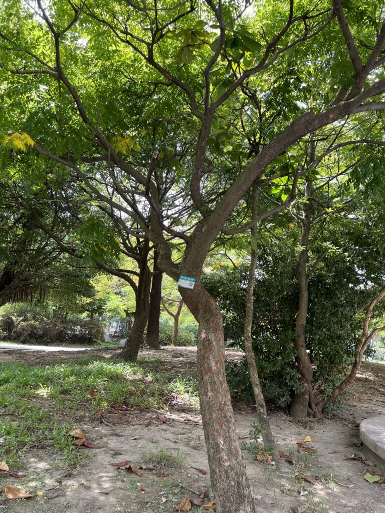 IPhone 14 Pro 開箱相機實測PK｜feat.iPhone 13 Pro、Samsung Galaxy S22 Ultra | TechTeller (科技說)